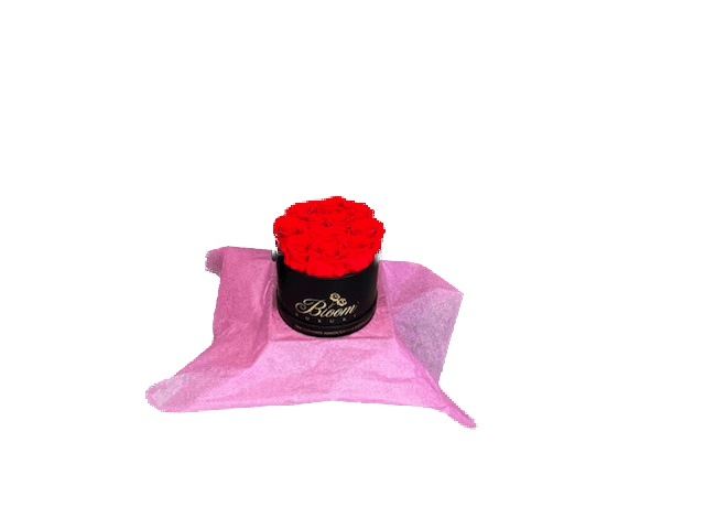 Red Preserved Roses | Santos Flowers