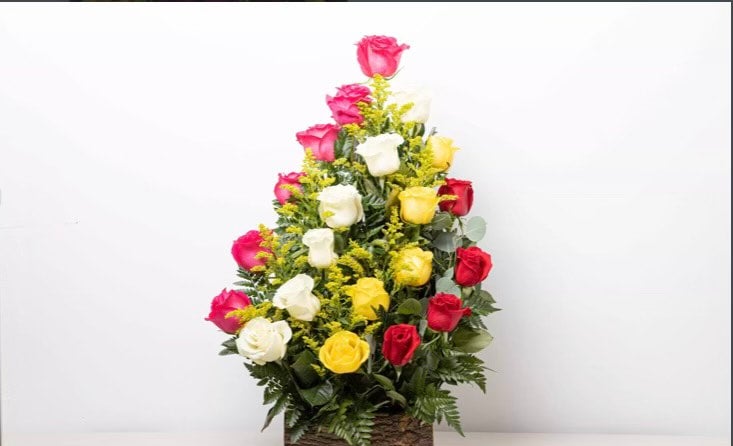 Santos Inspiration | Santos Flowers