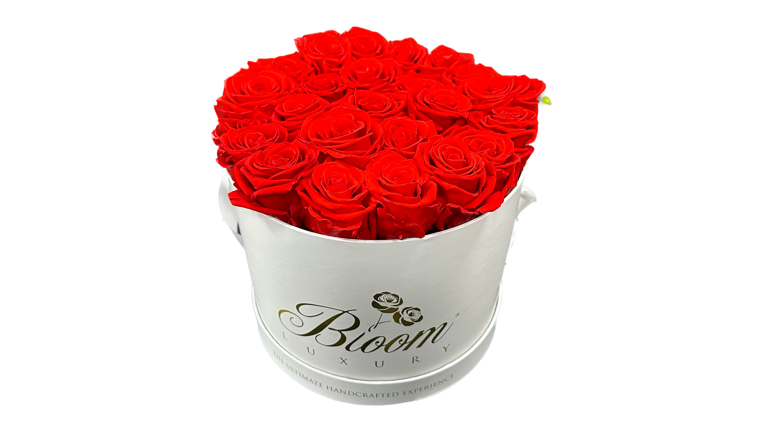 Large Preserved Roses Box | Santos Flowers